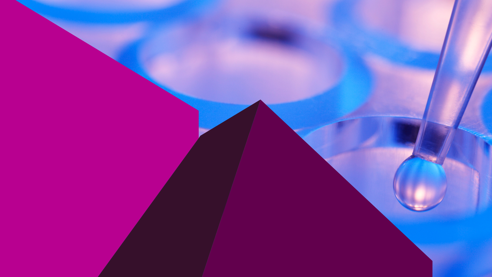 Empower Your Research with Decentralized Storage Solutions